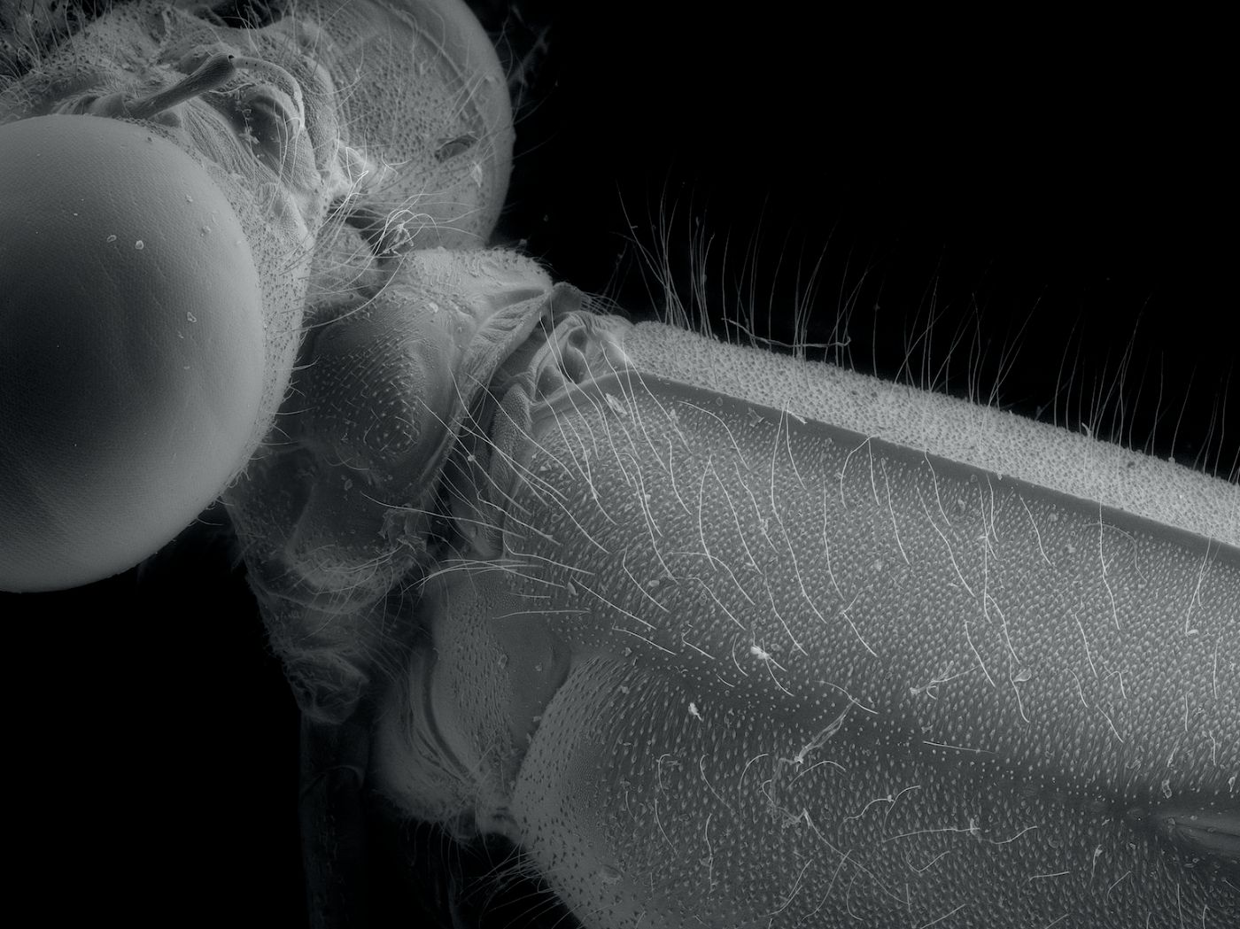 Ground Noise by Celine Clanet