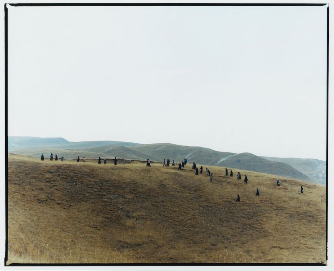 Selected Works by Nikki McClarron