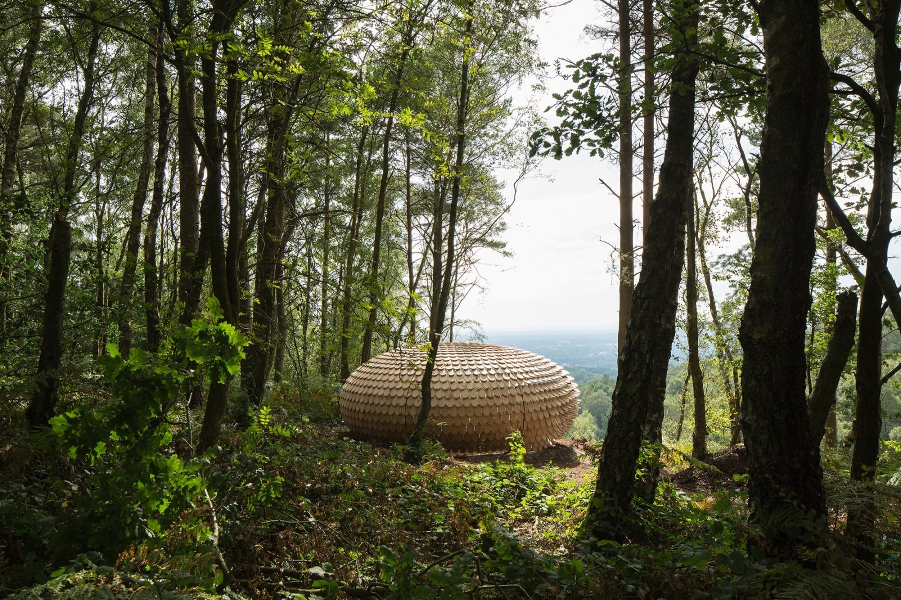 Perspectives by Giles Miller Studio