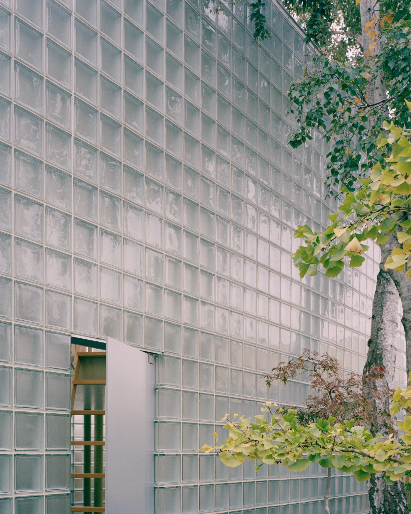 'Glass Block Outbuilding' by Baracco+Wright Architects