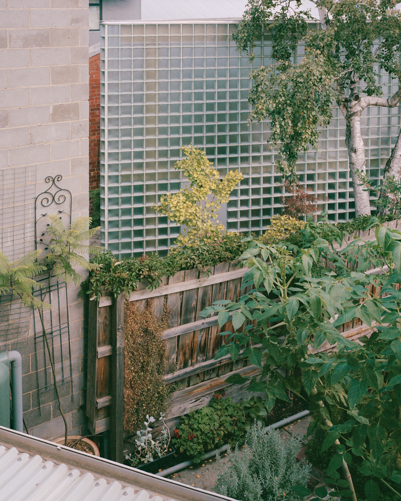 'Glass Block Outbuilding' by Baracco+Wright Architects
