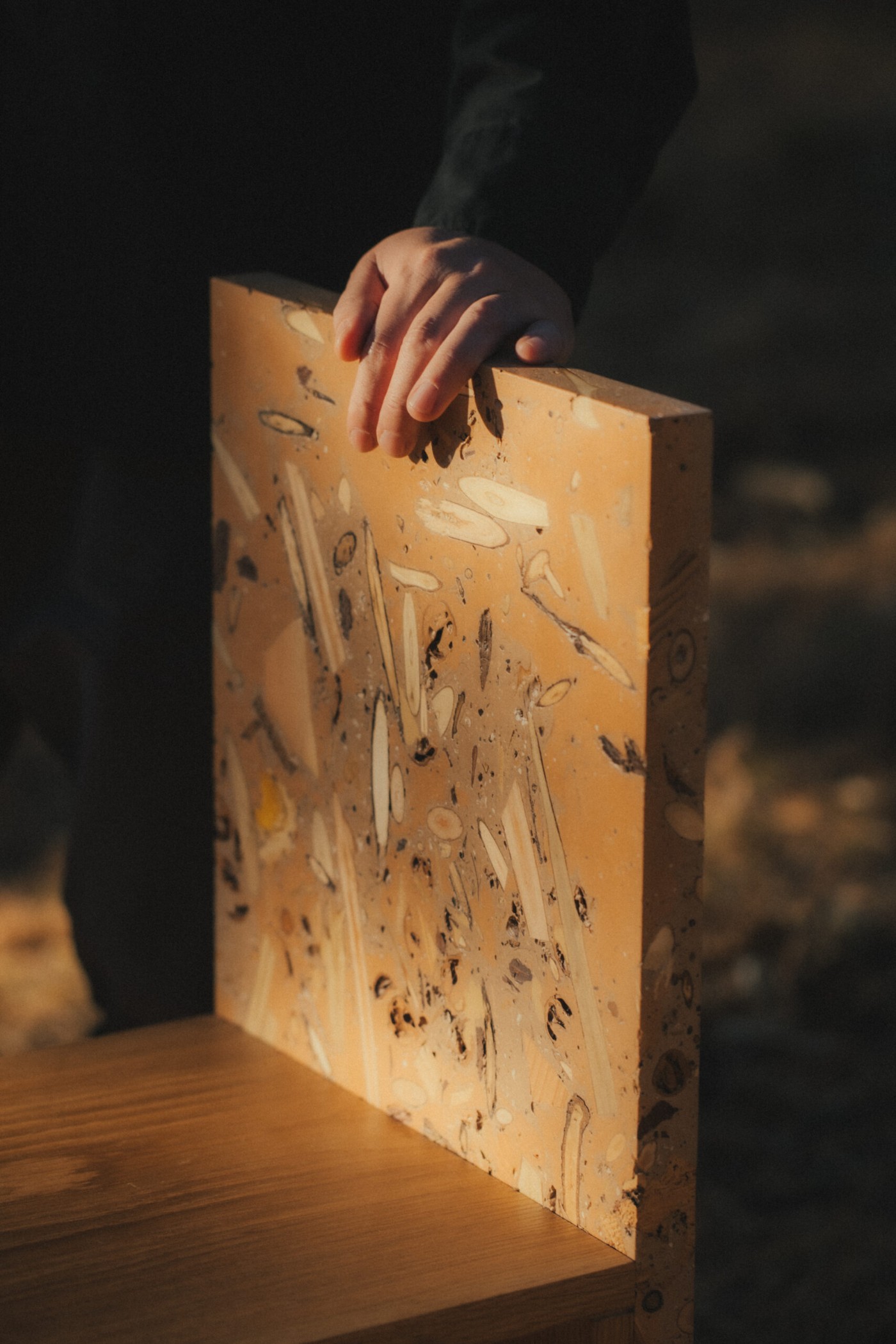 ForestBank™️ by Yuma Kano