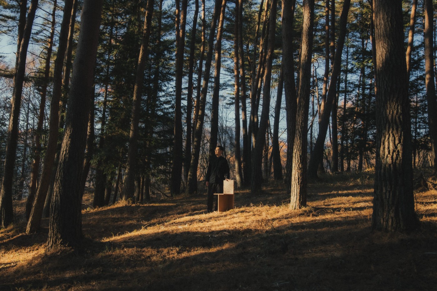 ForestBank™️ by Yuma Kano