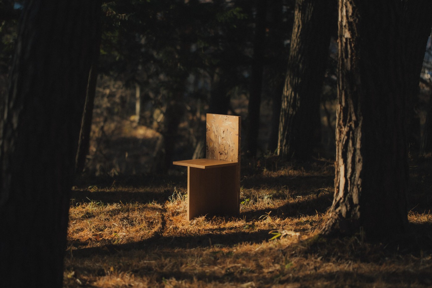 ForestBank™️ by Yuma Kano