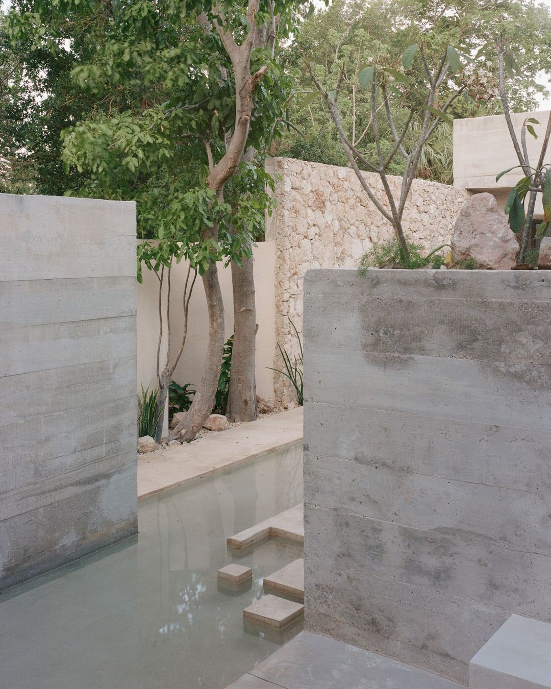 House in Los Cocos by Ludwig Godefroy Architecture