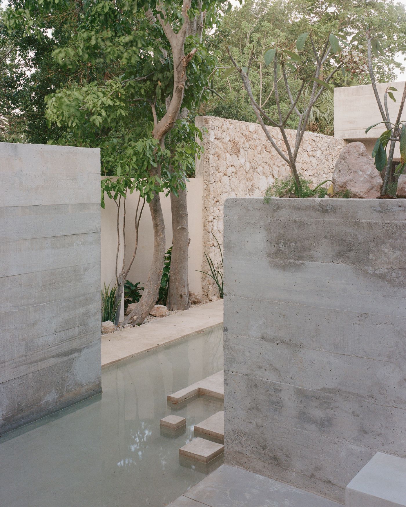 House in Los Cocos by Ludwig Godefroy Architecture