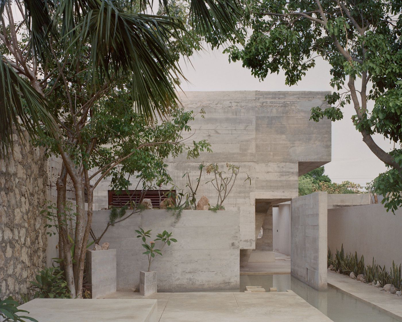 House in Los Cocos by Ludwig Godefroy Architecture
