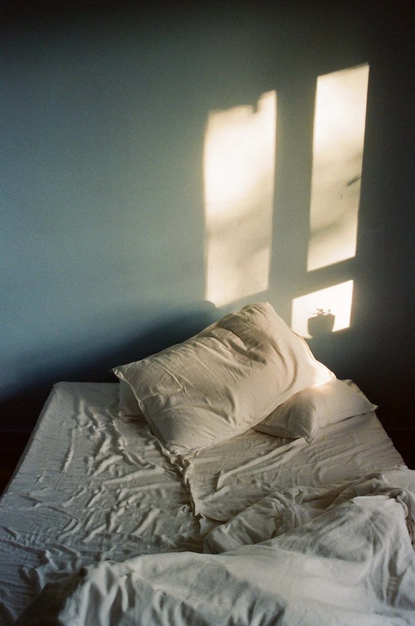 Selected works by Lina Scheynius