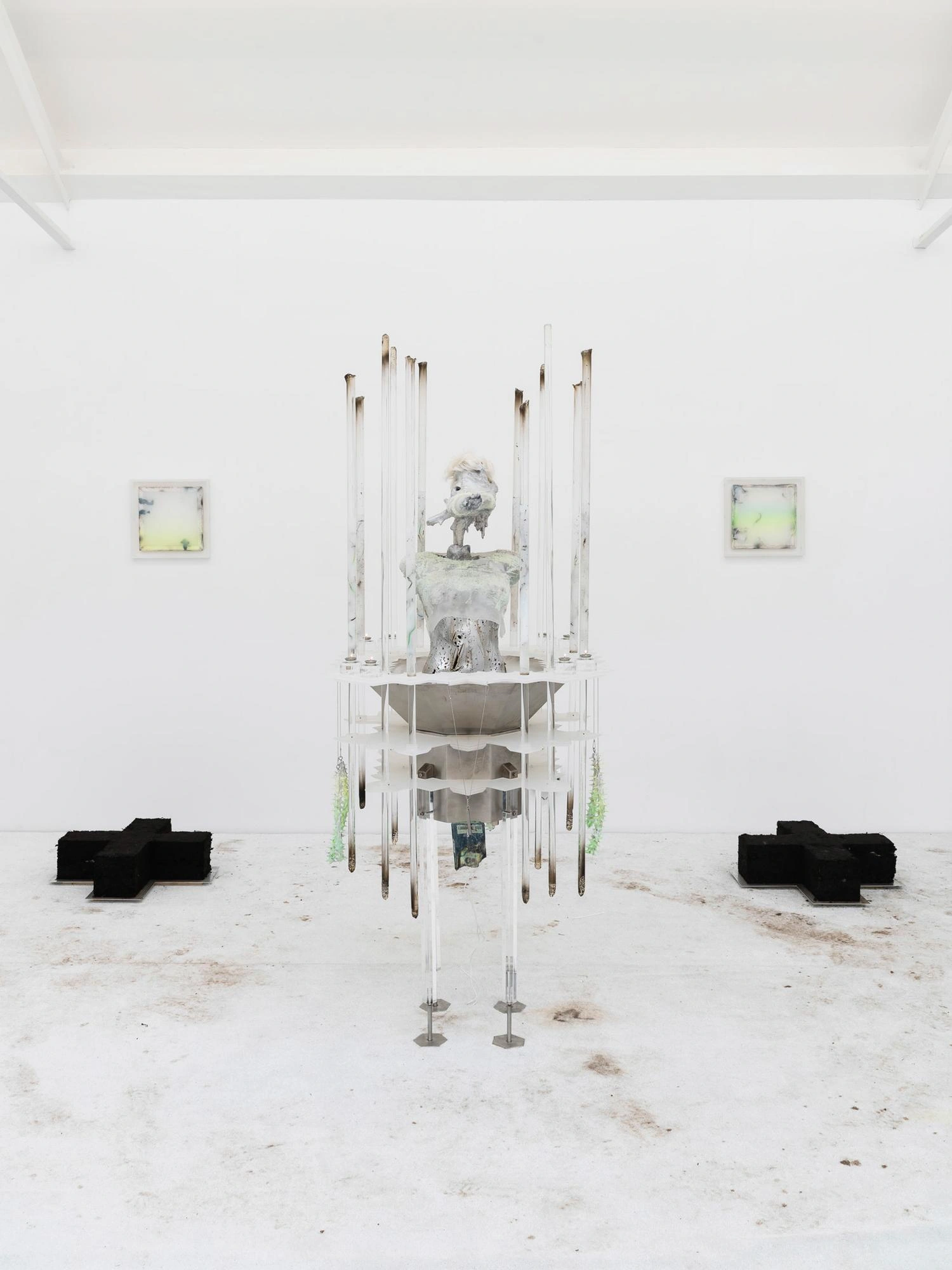 PROLE by Adriano Amaral at Galerie Fons Welters