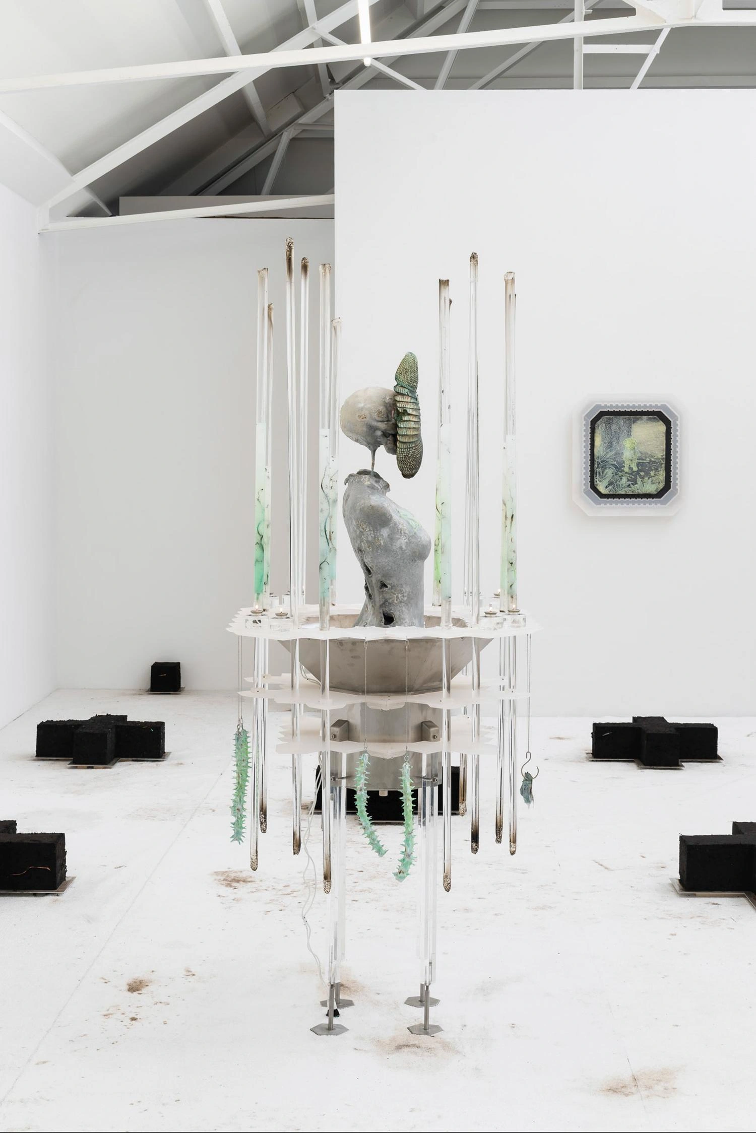 PROLE by Adriano Amaral at Galerie Fons Welters