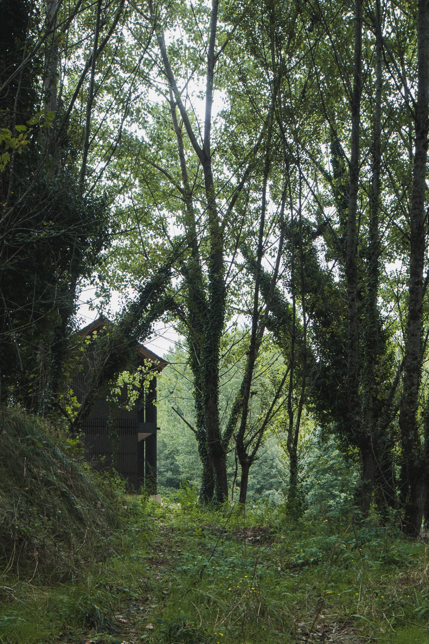 Granary House by Mima Housing