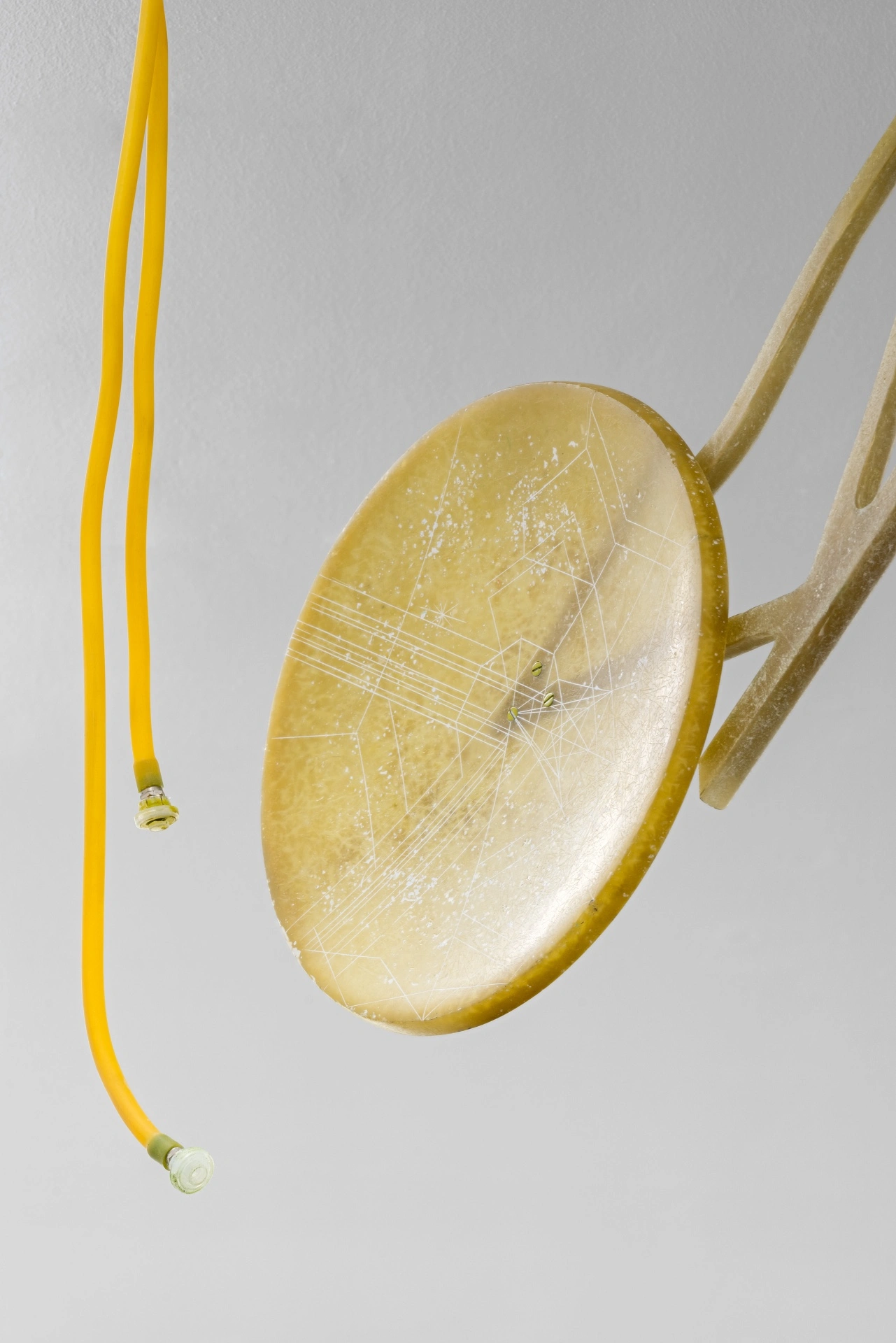 CELLS by Davide Allieri at Galerie Hubert Winter