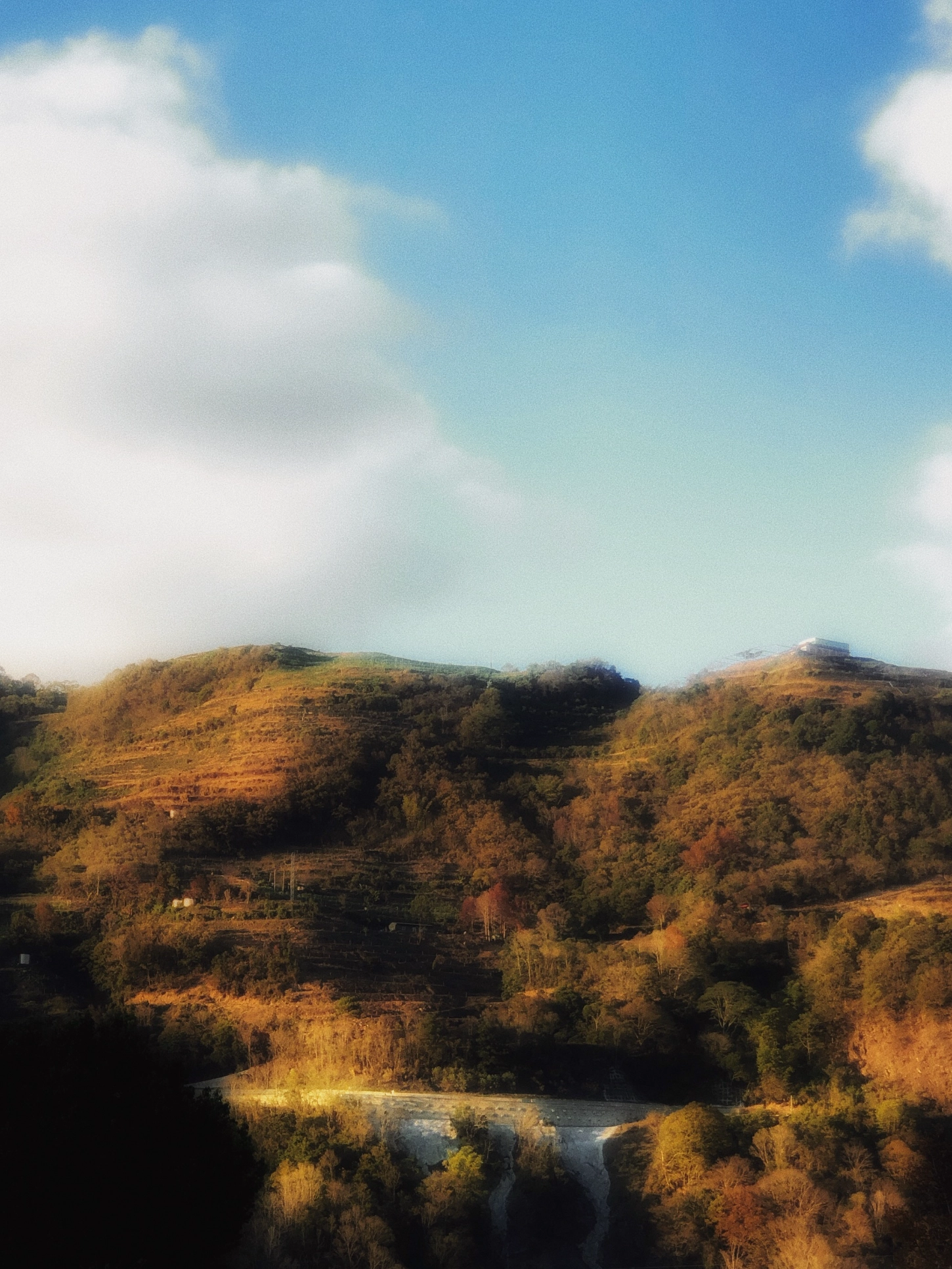 ILandscape by Chang Yu Hsuan