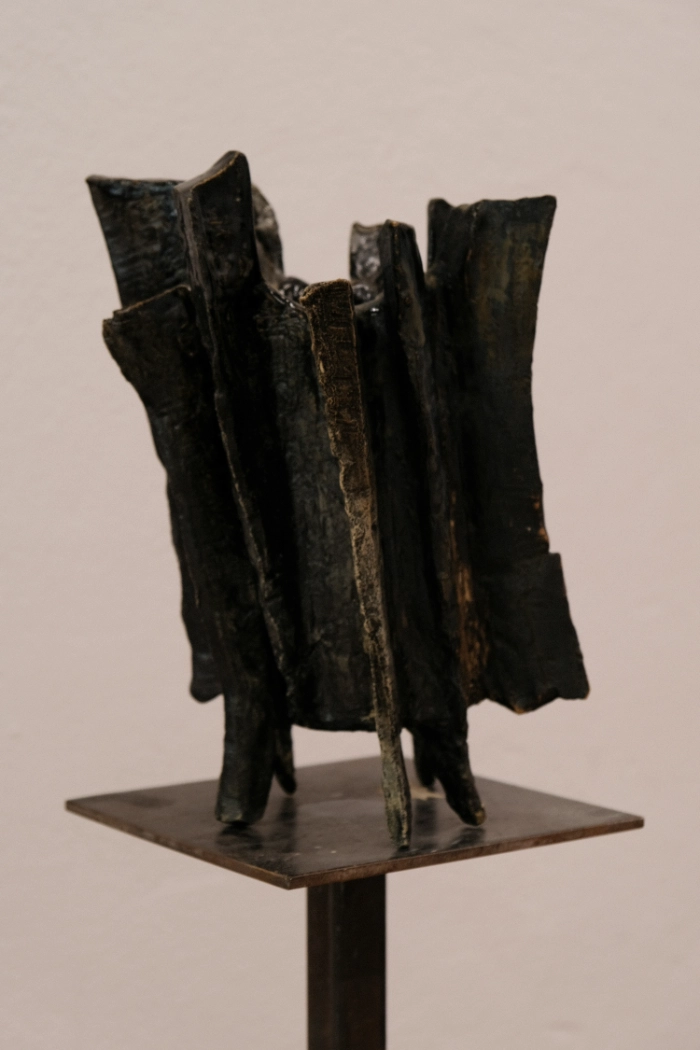 Veronika Janovec - A Tale of Density, Darkness, and Simplicity
