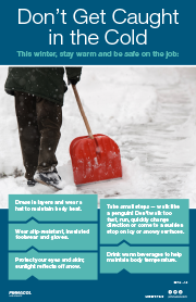 Winter Walking Safety Poster