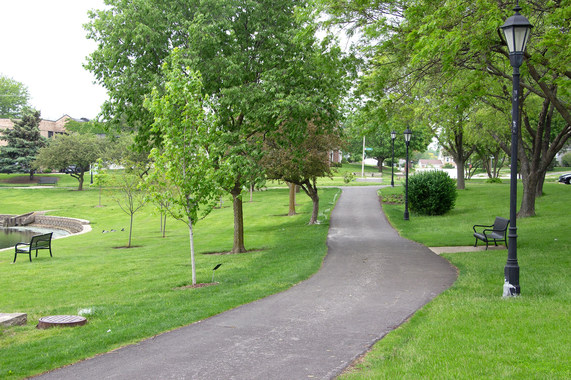 Roselle Park District (RPD)