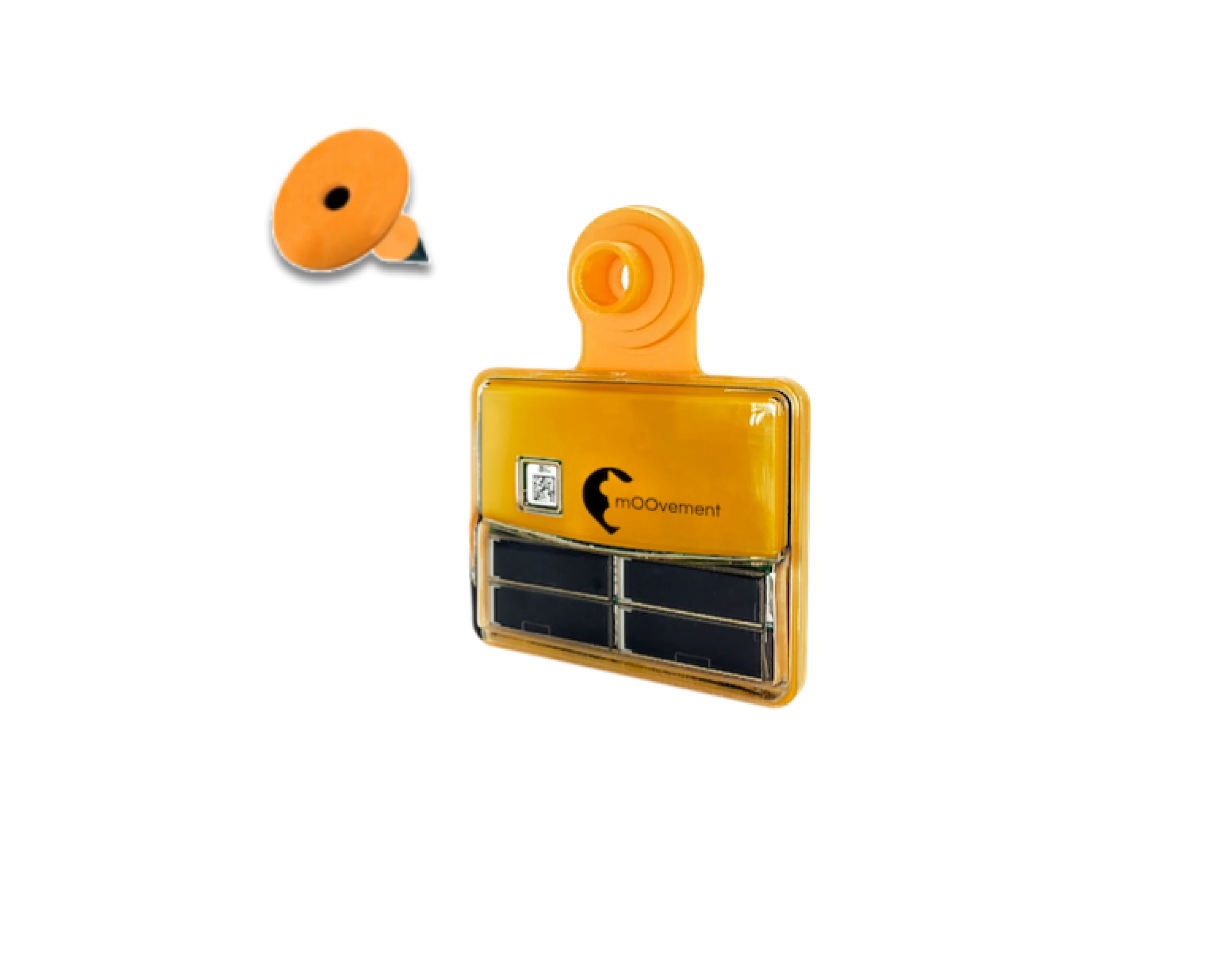 Bluetooth Ear Tags for Cattle