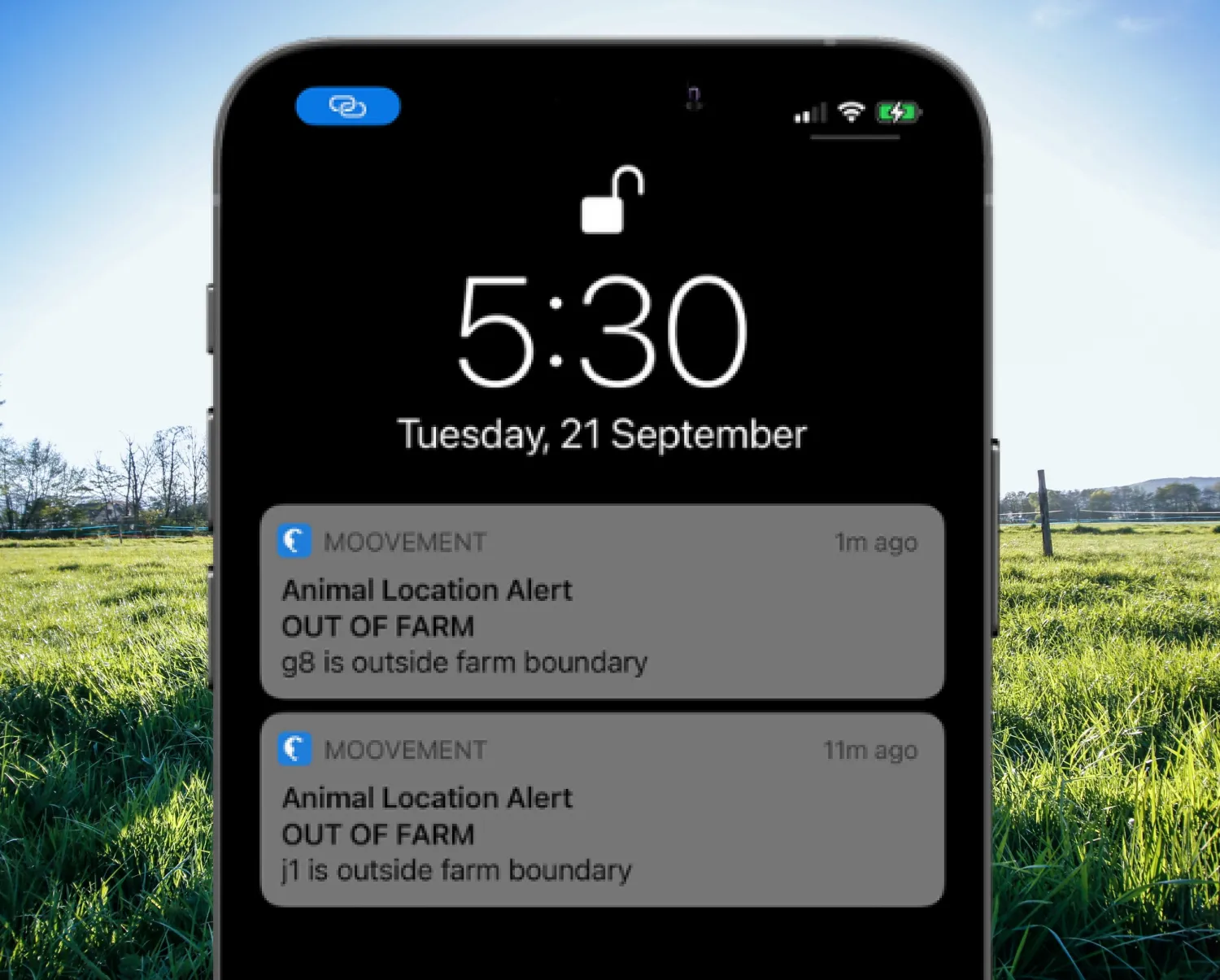 GPS Ear Tags for Cattle
