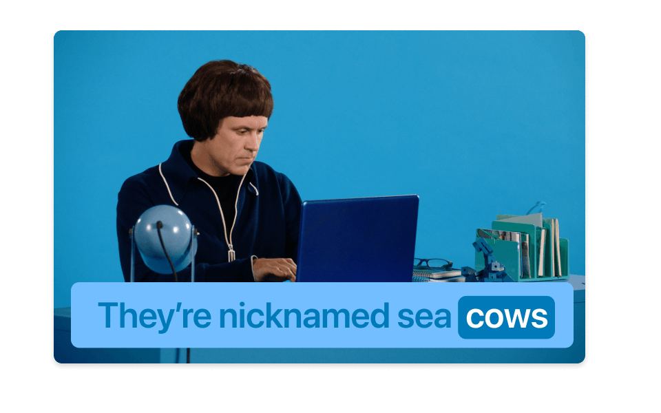 Instant Subtitle Generator | Create Video Subtitles with AI | Descript