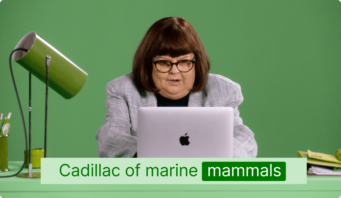 Video Caption Generator | Captions & Subtitles in Seconds | Descript