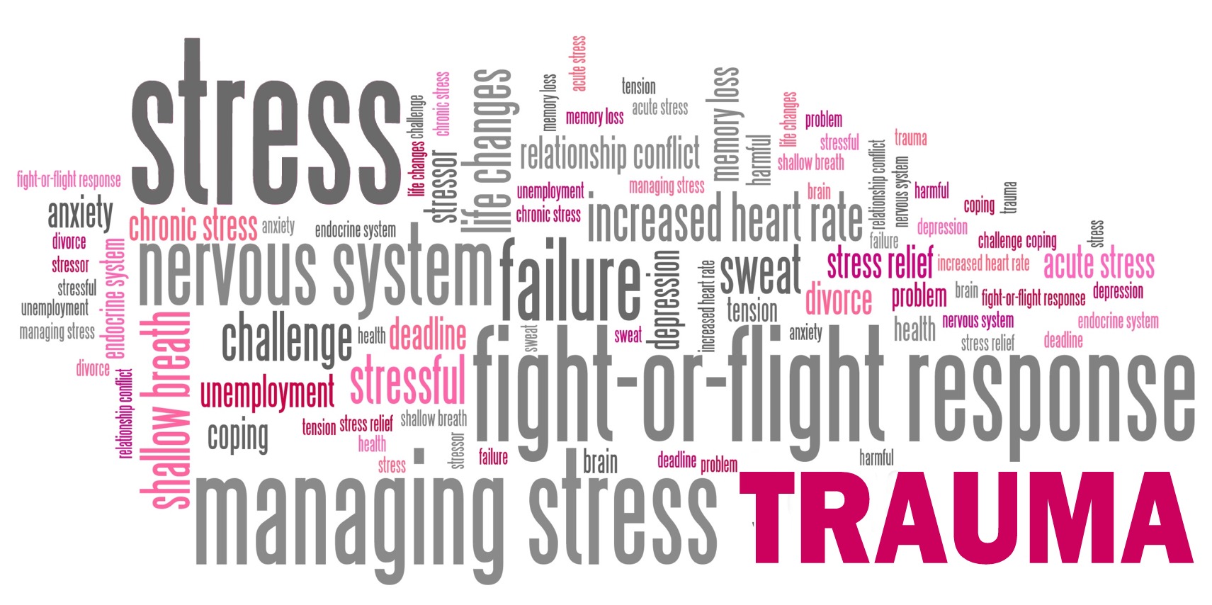 The Effects of Trauma on the Brain