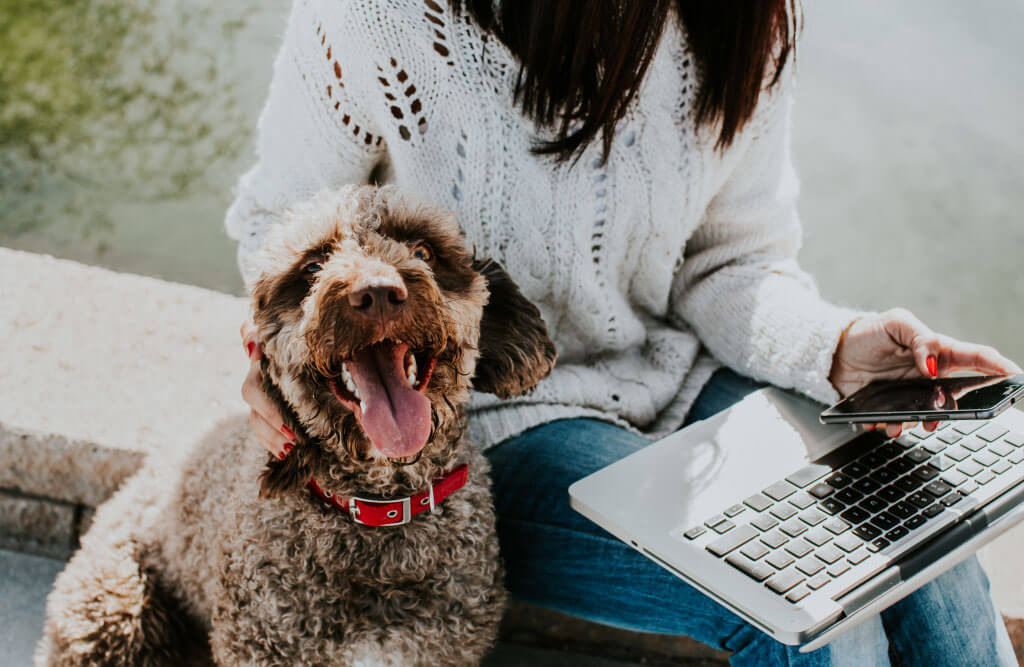 How to Choose a Business Management & Scheduling App for Your Pet ...