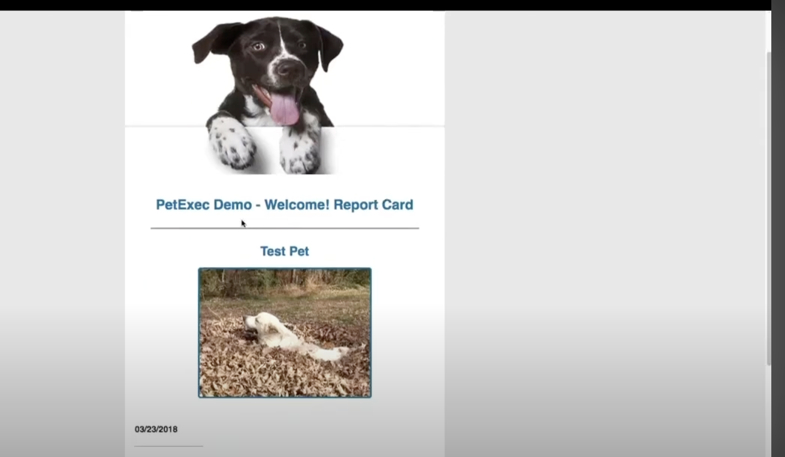 Dog Report Cards: Benefits, Examples and Templates for Your Pet ...