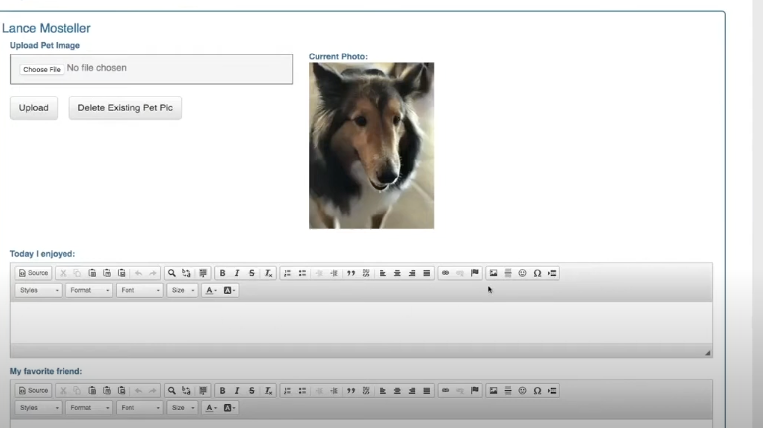 Dog Report Cards: Benefits, Examples and Templates for Your Pet ...