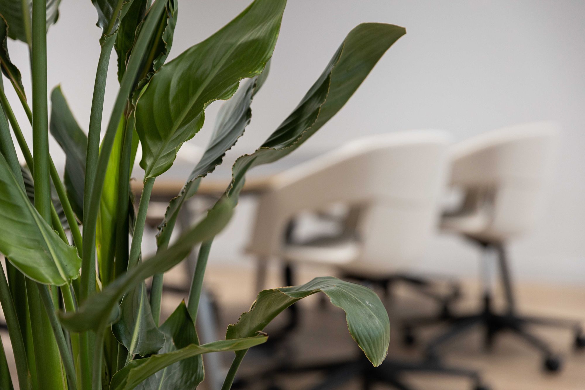 The Studio | at Techspace