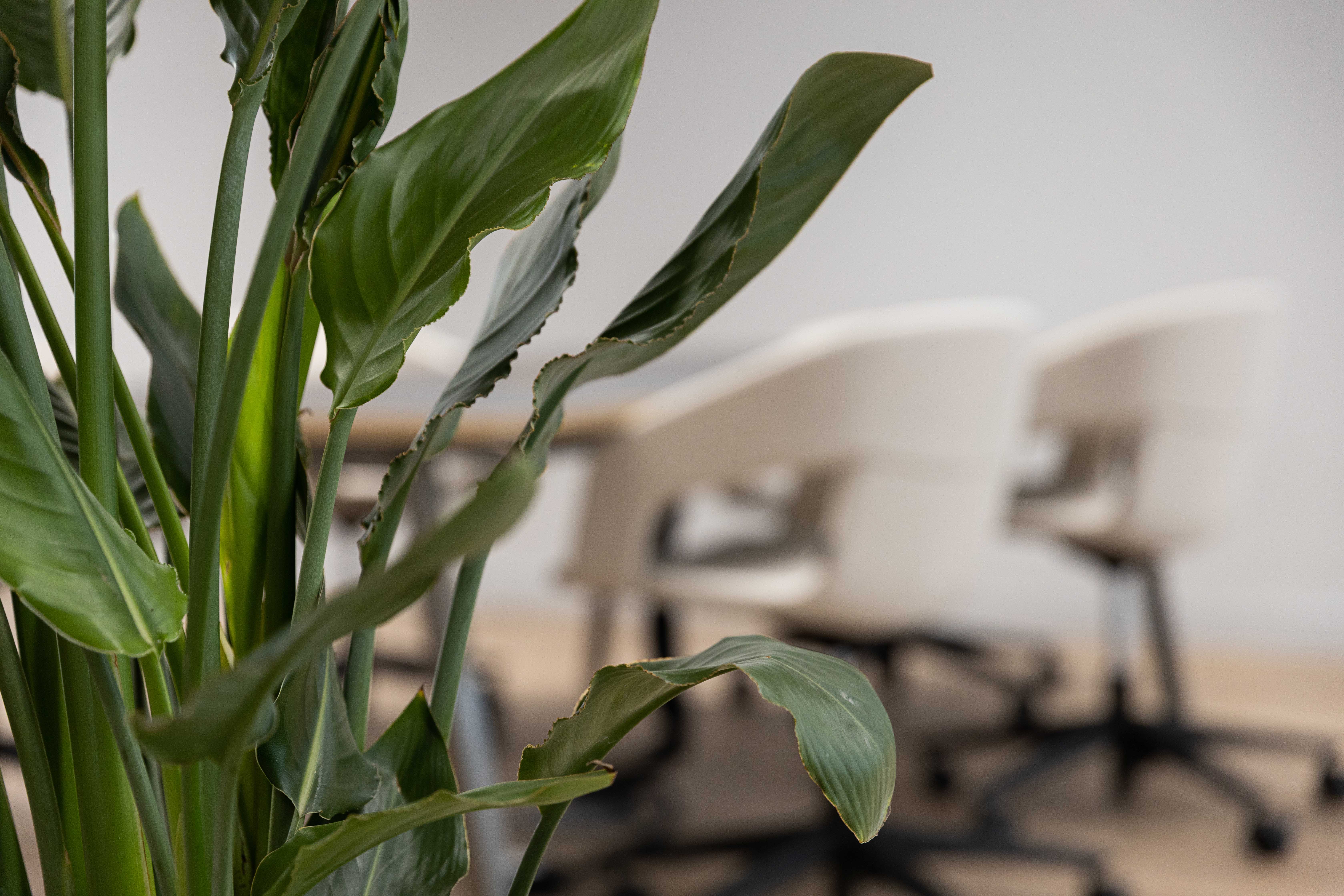 The Studio | at Techspace