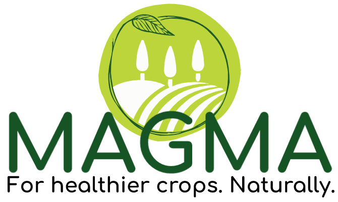 MAGMA S.A. solutions for industry and producers in the field of ...