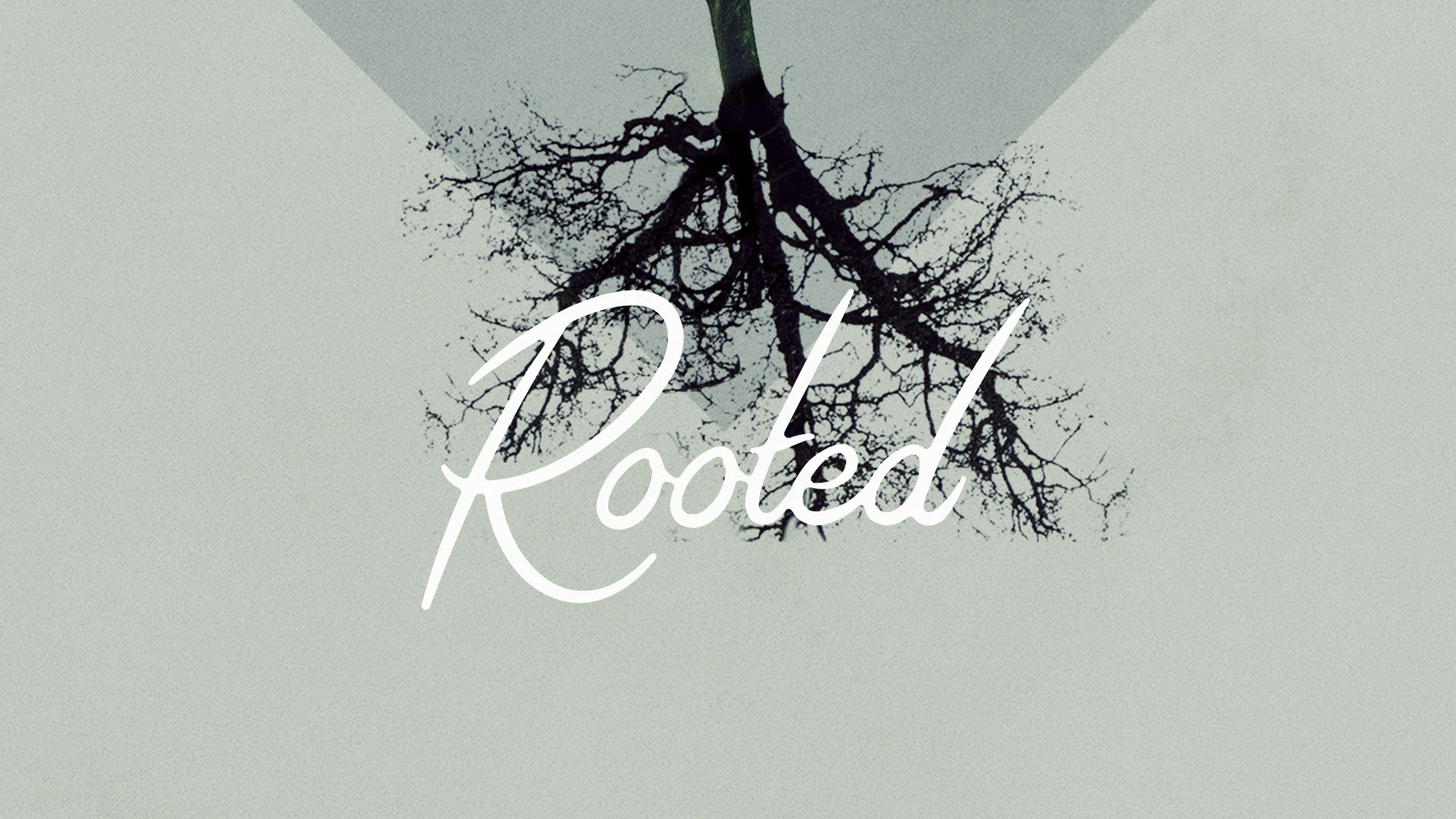 The Principle of the Seed - Rooted