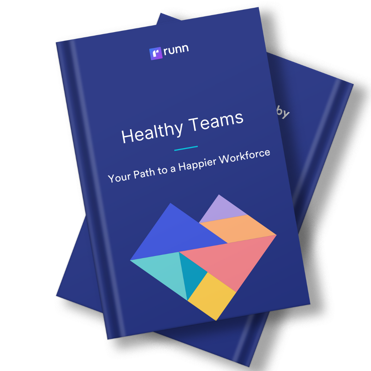 Healthy Teams: Your Path to a Happier Workforce [Ebook]