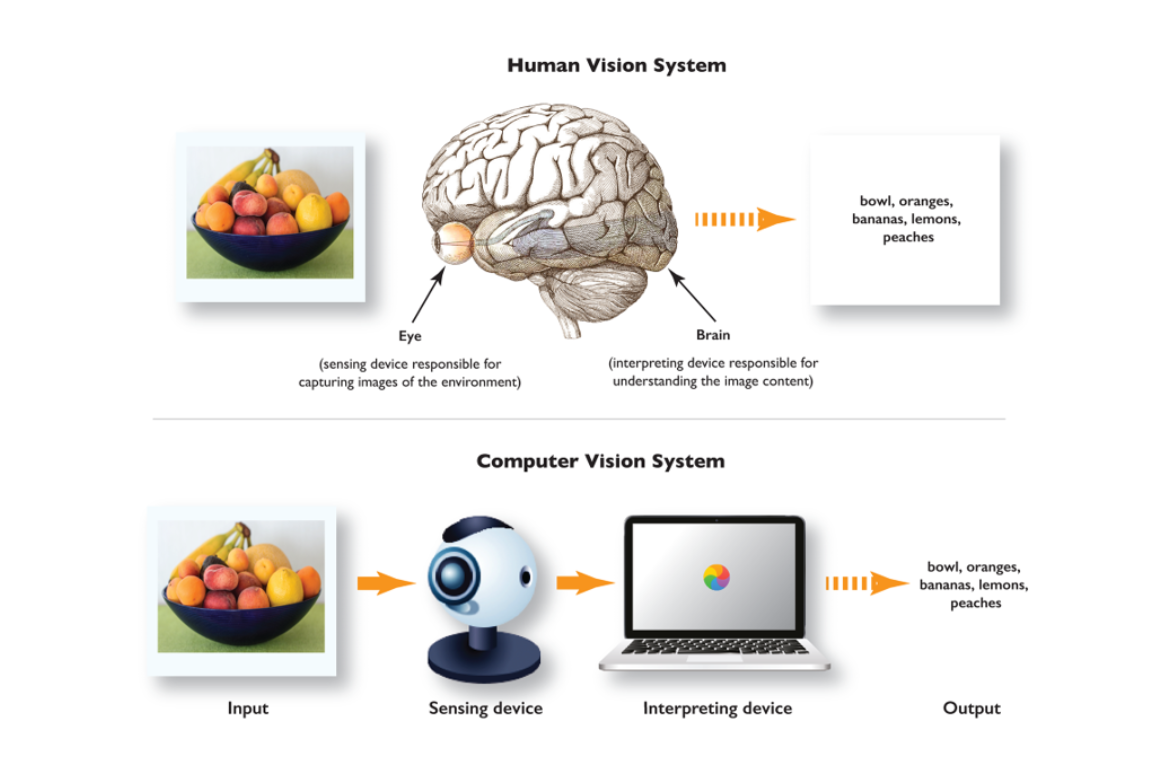 What Is Computer Vision Basic Tasks Techniques 2023 