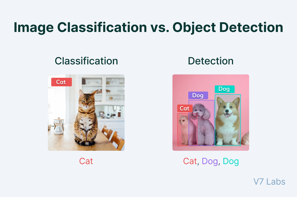 Do Image Classification And Object Detection In Python Lupon gov ph
