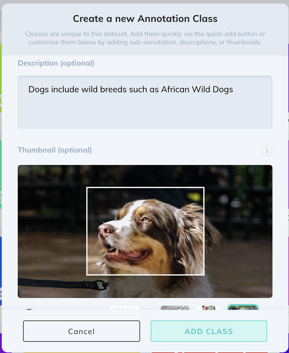 9 Essential Features for a Bounding Box Annotation Tool