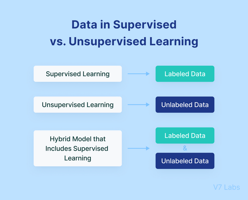 Supervised vs. Unsupervised Learning: What’s the Difference?