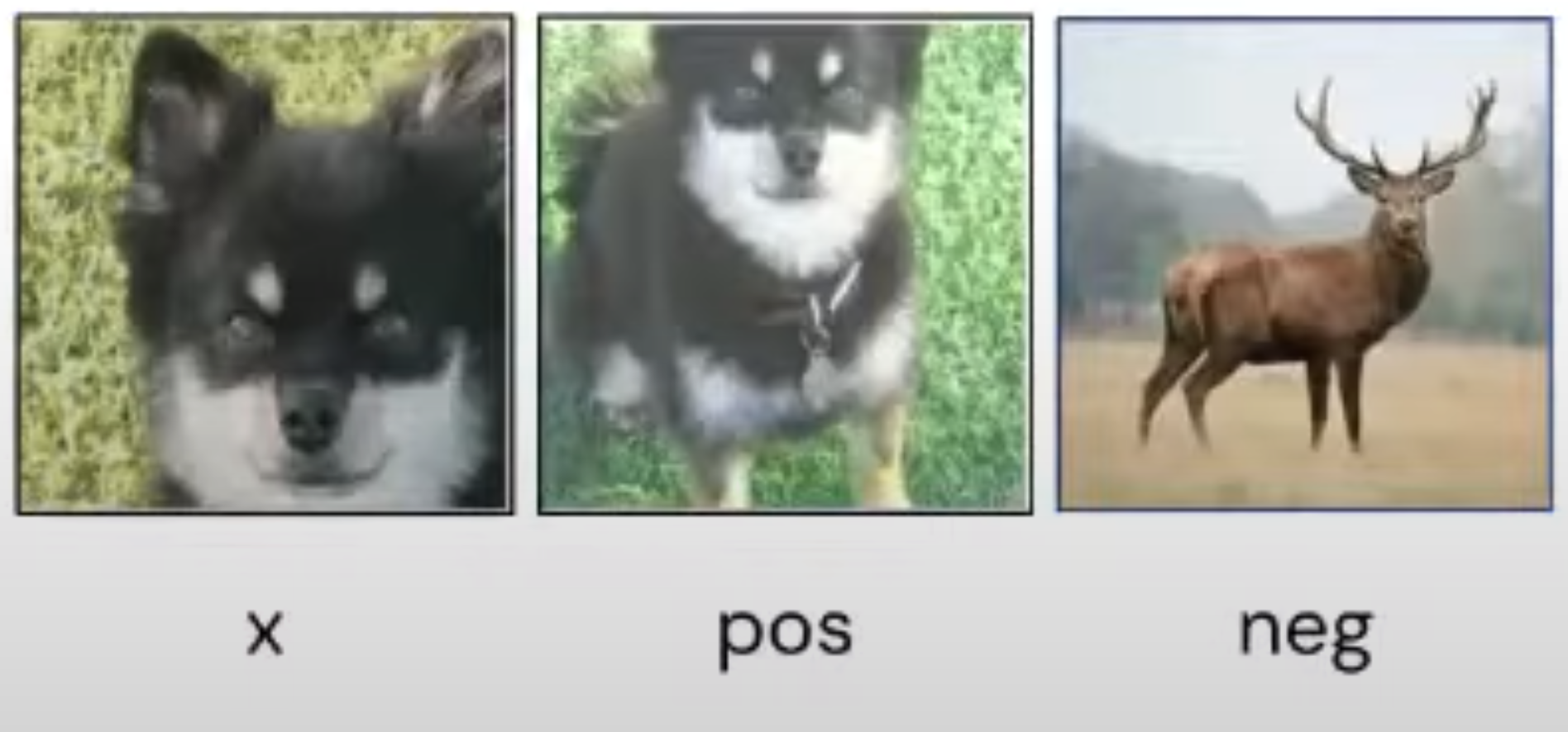 Image Classification in Machine Learning [Intro + Tutorial]