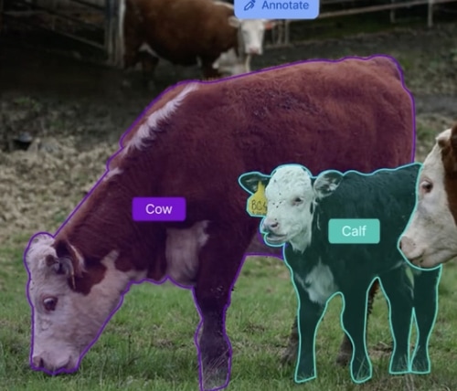 7 Game-Changing AI Applications in the Sports Industry