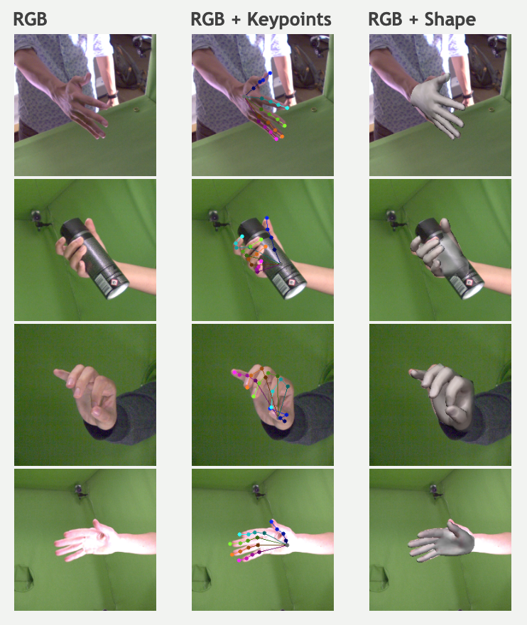 FreiHAND Dataset - V7 Open Datasets