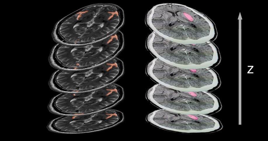 The Ultimate Guide to Medical Image Annotation