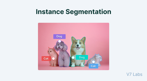 What Is Instance Segmentation? [2023 Guide & Tutorial]