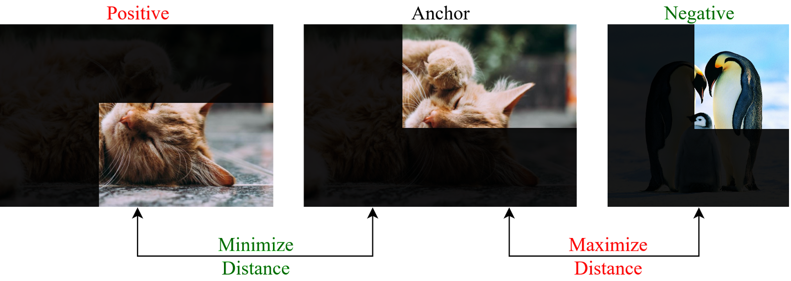 The Beginner’s Guide to Contrastive Learning