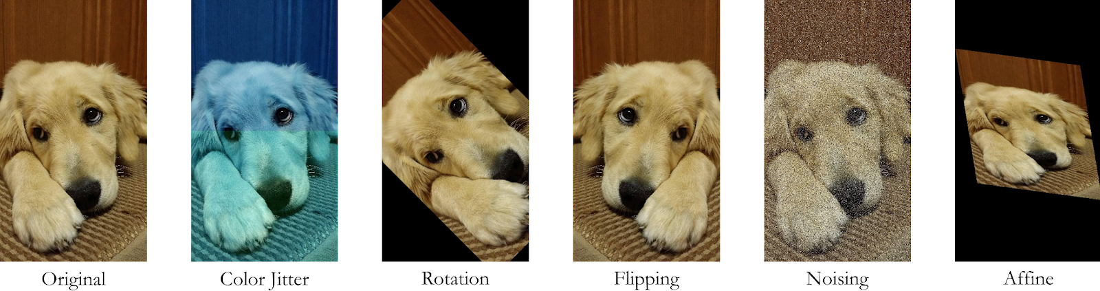 The Beginner’s Guide to Contrastive Learning