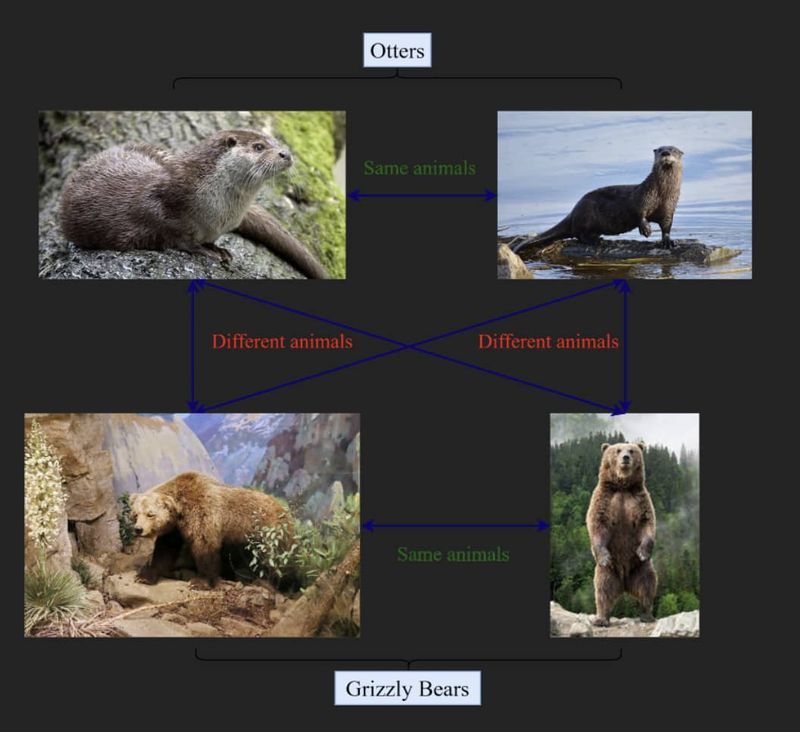The Beginner’s Guide to Contrastive Learning
