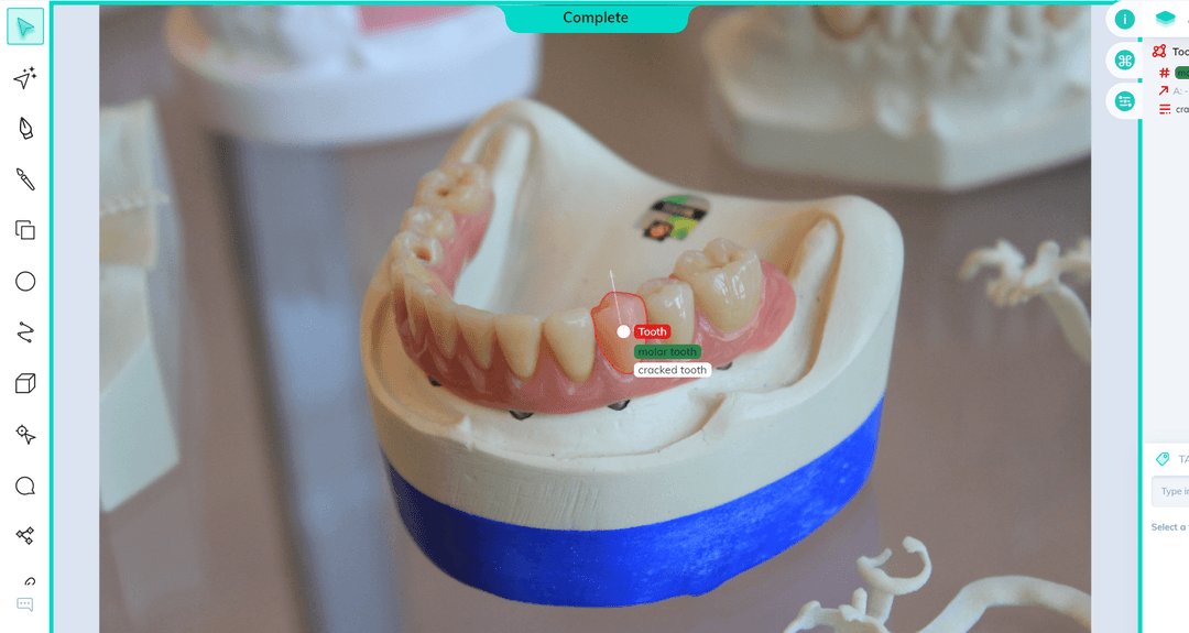 21+ Best Healthcare Datasets for Computer Vision