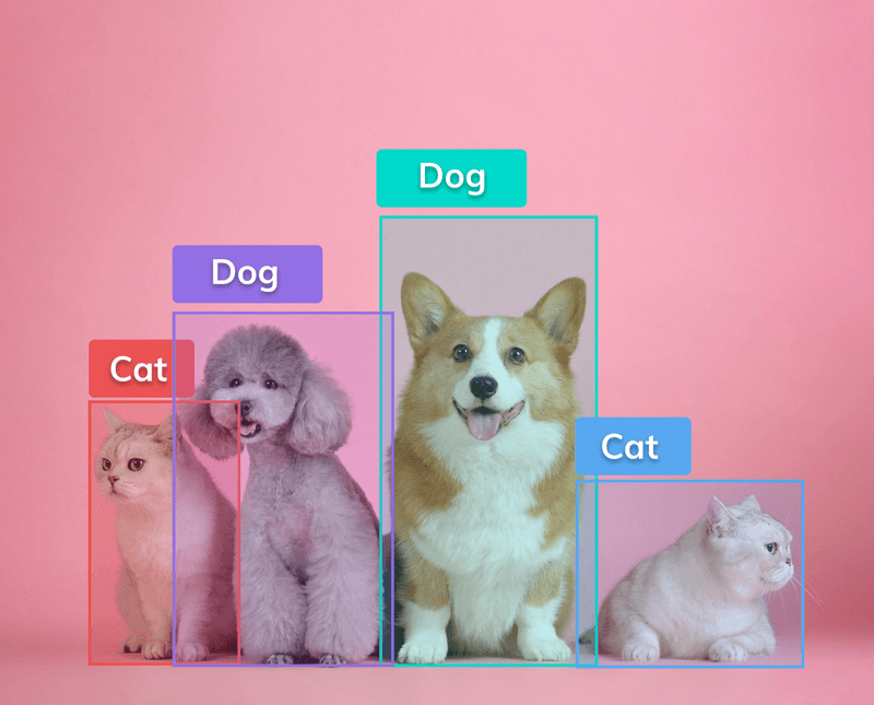 Object Detection Models Architectures And Tutorial [2023]