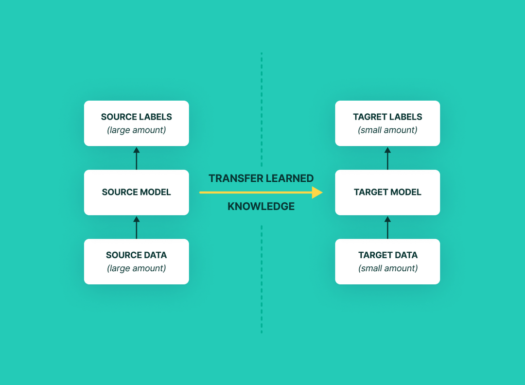 What Is Transfer Learning? [Examples & Newbie-Friendly Guide]
