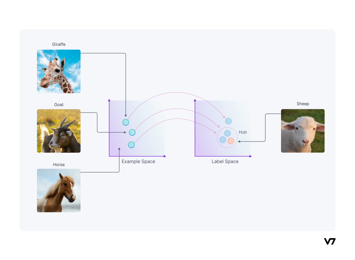 What Is Zero Shot Learning in Image Classification? [Examples]