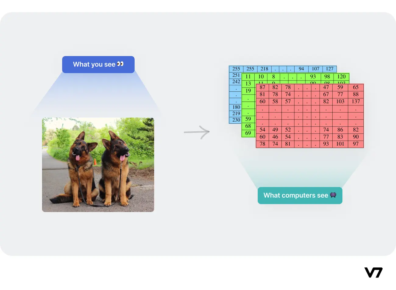Image Processing: Techniques, Types, & Applications [2023]